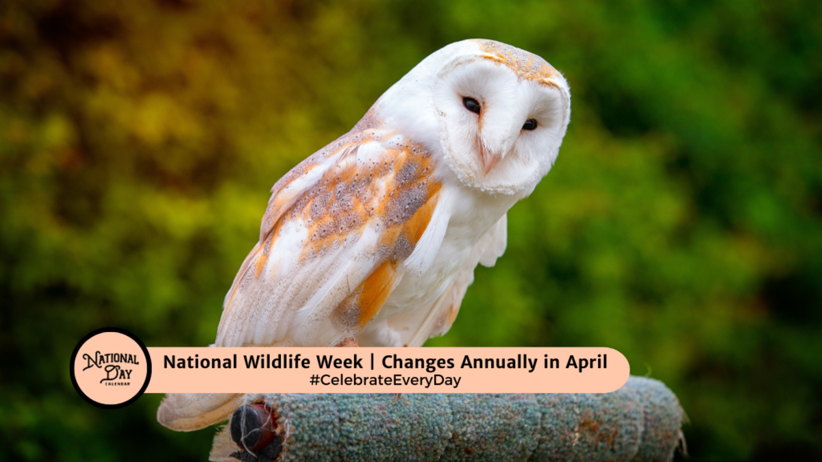 NATIONAL WILDLIFE WEEK - Changes Annually - National Day Calendar