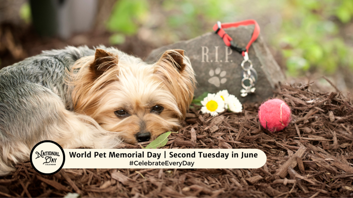 WORLD PET MEMORIAL DAY | Second Tuesday in June - National Day Calendar