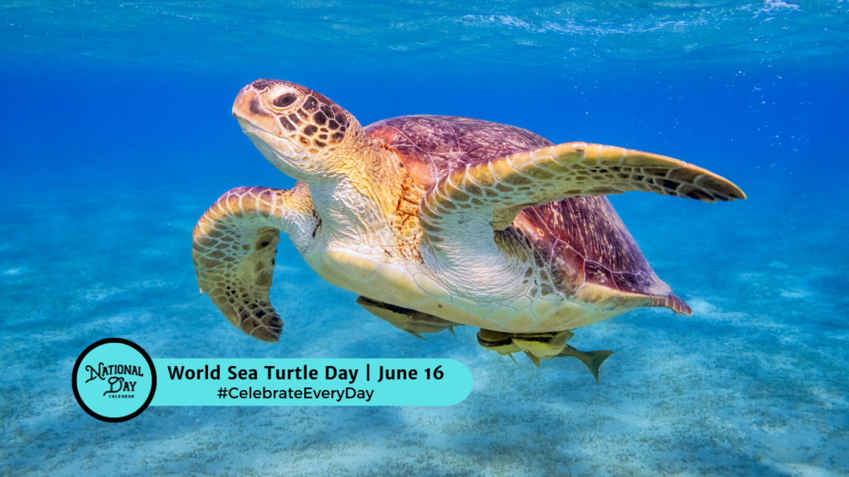 WORLD SEA TURTLE DAY | June 16 - National Day Calendar