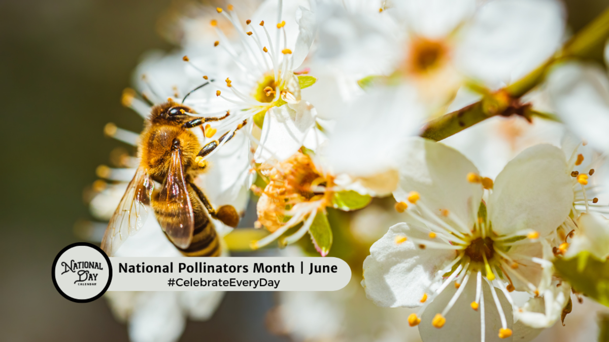 NATIONAL POLLINATORS MONTH | June - National Day Calendar
