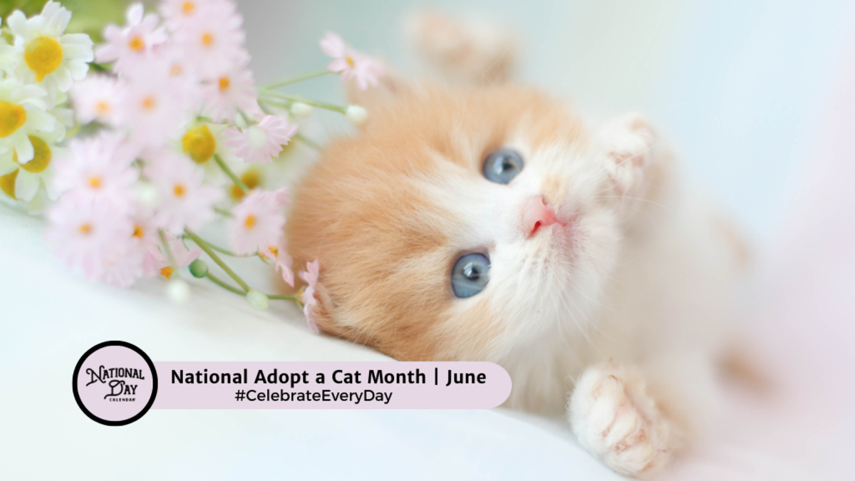 NATIONAL ADOPT A CAT MONTH | June - National Day Calendar