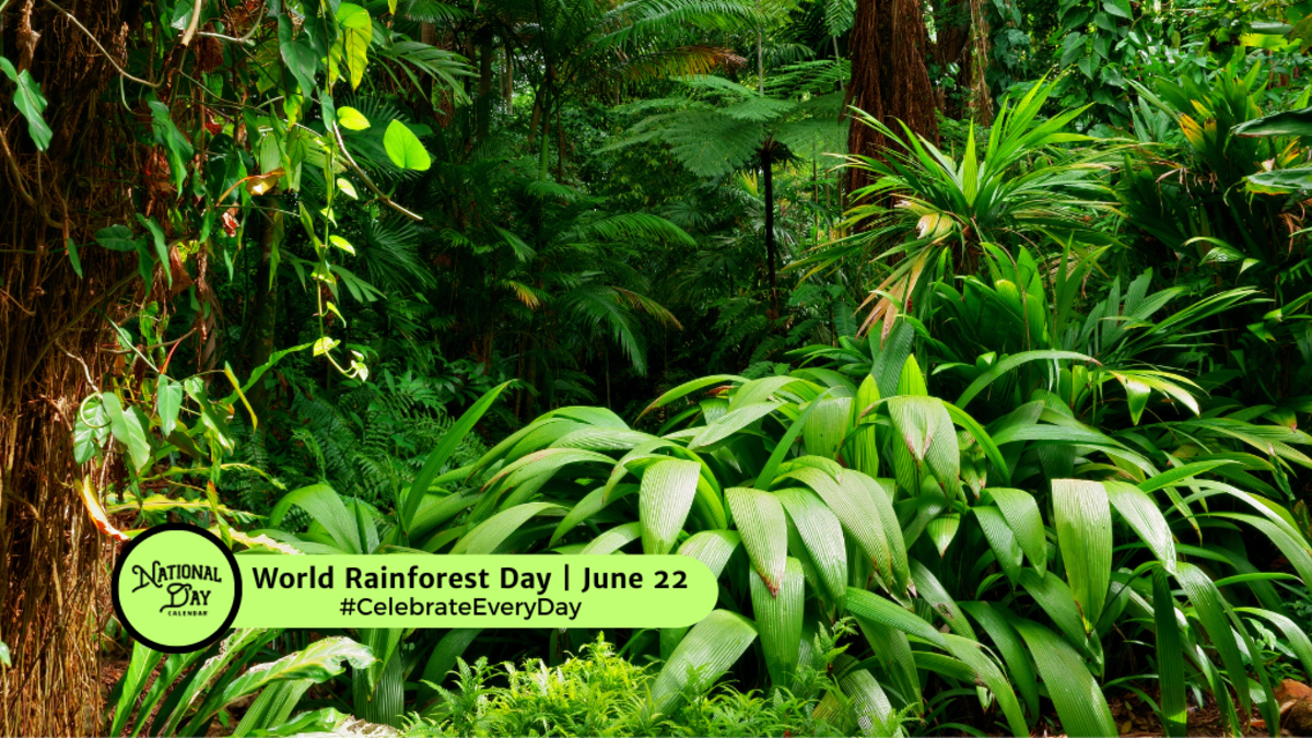 WORLD RAINFOREST DAY | June 22 - National Day Calendar