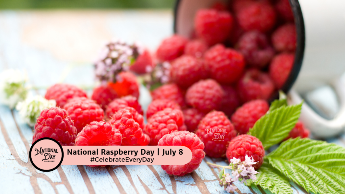 JULY 8, 2024 | NATIONAL RASPBERRY DAY | NATIONAL FREEZER POP DAY | NATIONAL CHOCOLATE WITH ...