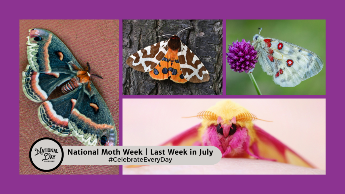 NATIONAL MOTH WEEK | Last Week in July - National Day Calendar