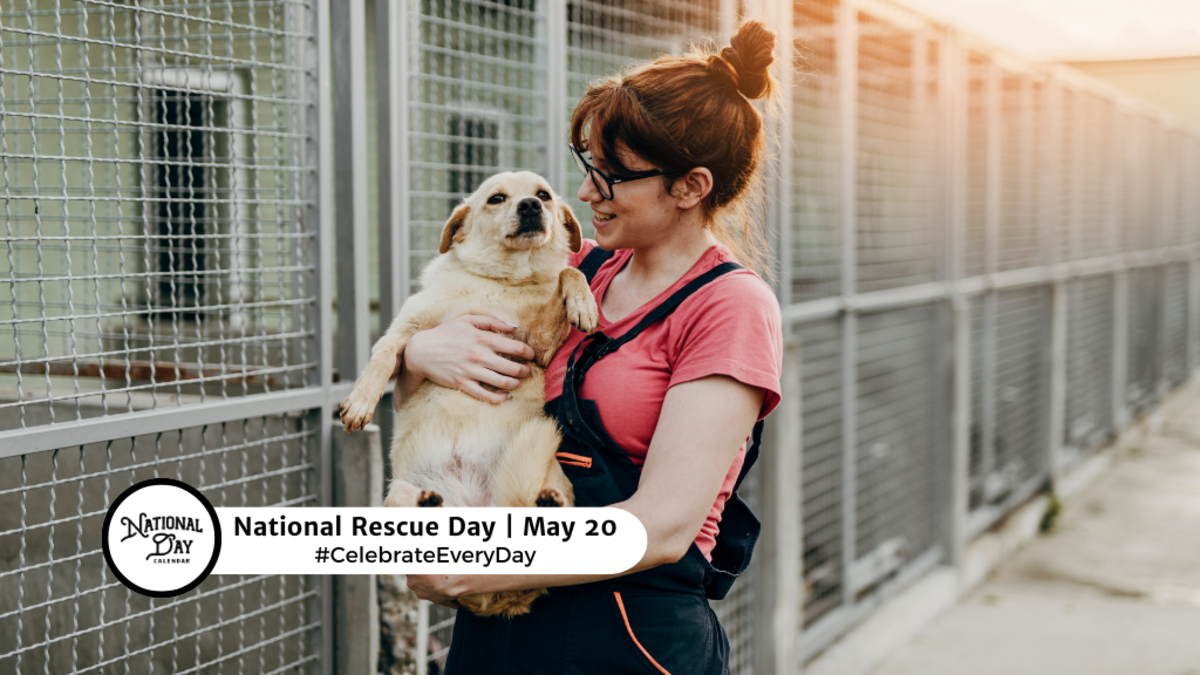 MAY 20, 2025 | NATIONAL BE A MILLIONAIRE DAY | NATIONAL RESCUE DOG DAY ...