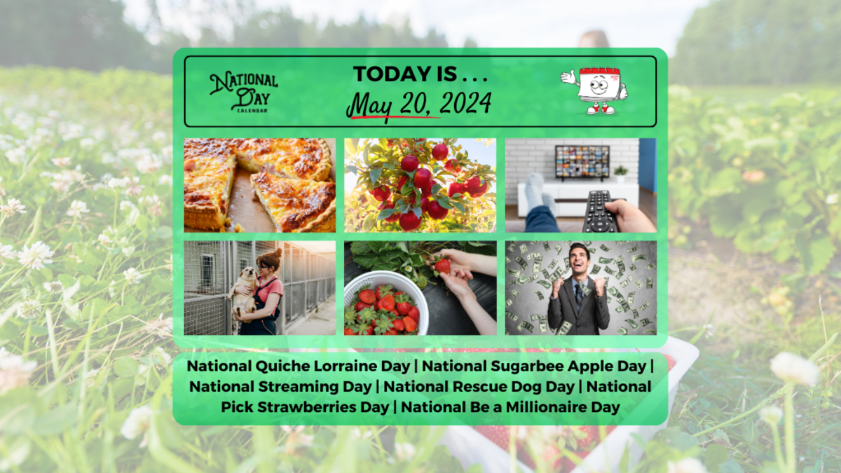 MAY 20, 2024 | NATIONAL BE A MILLIONAIRE DAY | NATIONAL RESCUE DOG DAY ...