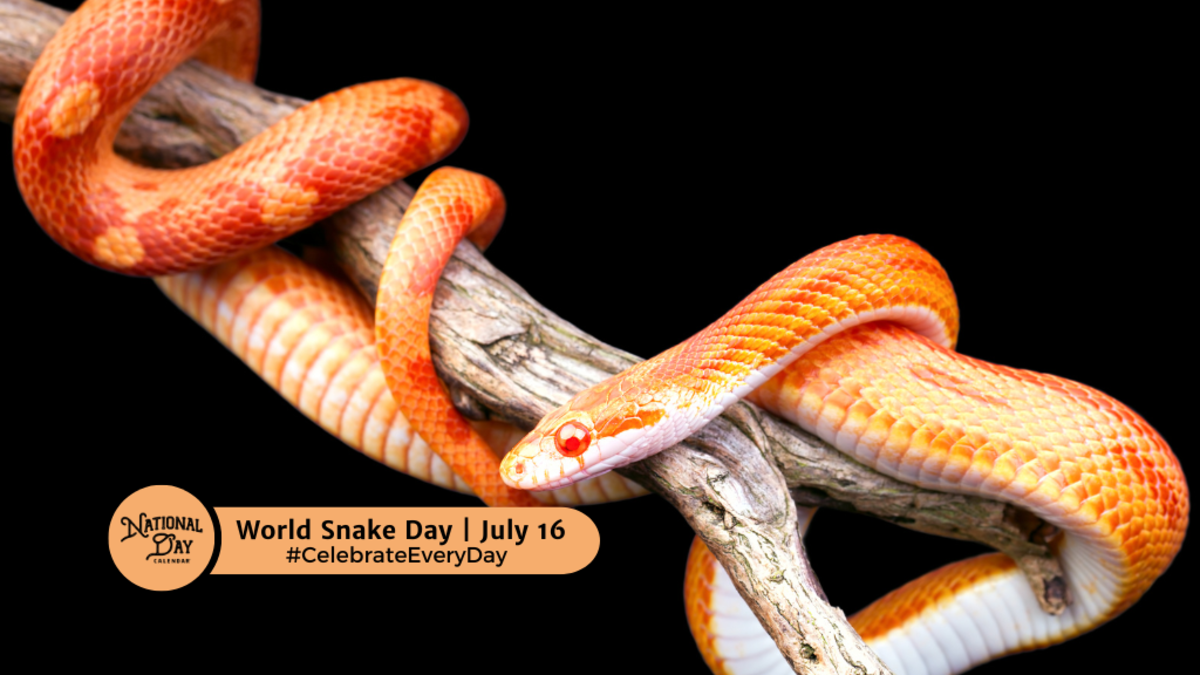 WORLD SNAKE DAY | July 16 - National Day Calendar