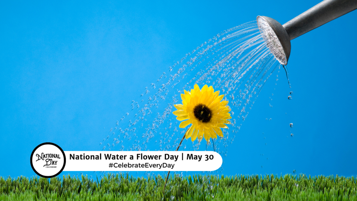 MAY 30, 2025 | NATIONAL WATER A FLOWER DAY | NATIONAL CREATIVITY DAY ...