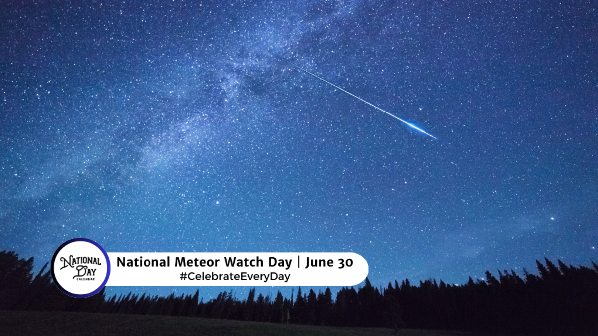 JUNE 30, 2024 | SOCIAL MEDIA DAY | NATIONAL OOTD DAY | NATIONAL METEOR ...