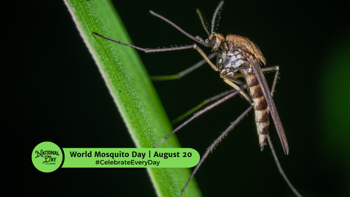 WORLD MOSQUITO DAY | August 20 - National Day Calendar