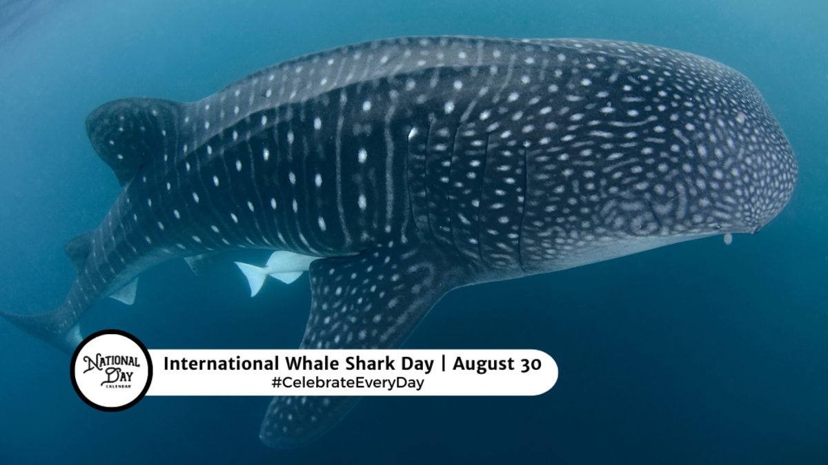 INTERNATIONAL WHALE SHARK DAY | August 30 - National Day Calendar