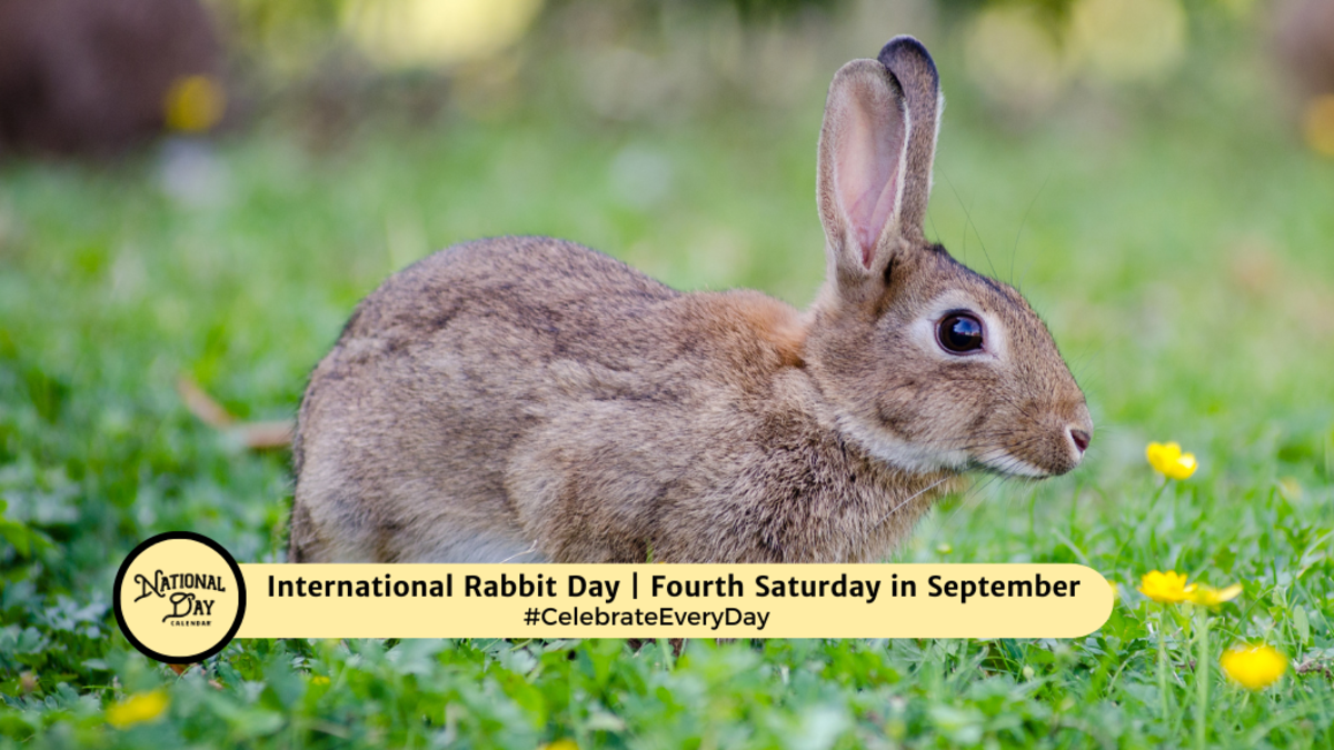 INTERNATIONAL RABBIT DAY | Fourth Saturday in September - National Day ...