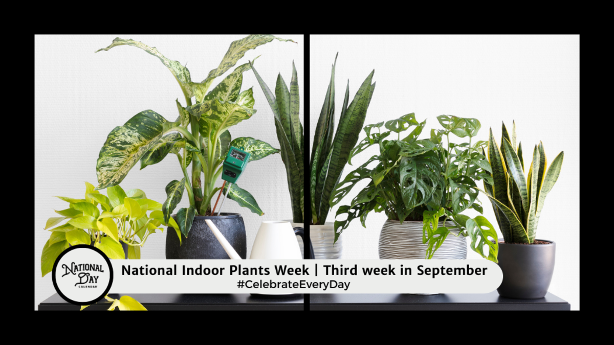 NATIONAL INDOOR PLANT WEEK | Third Week in September - National Day ...