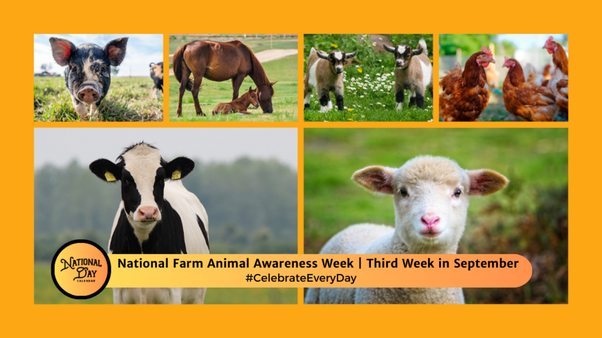 NATIONAL FARM ANIMALS AWARENESS WEEK | Third Week in September ...