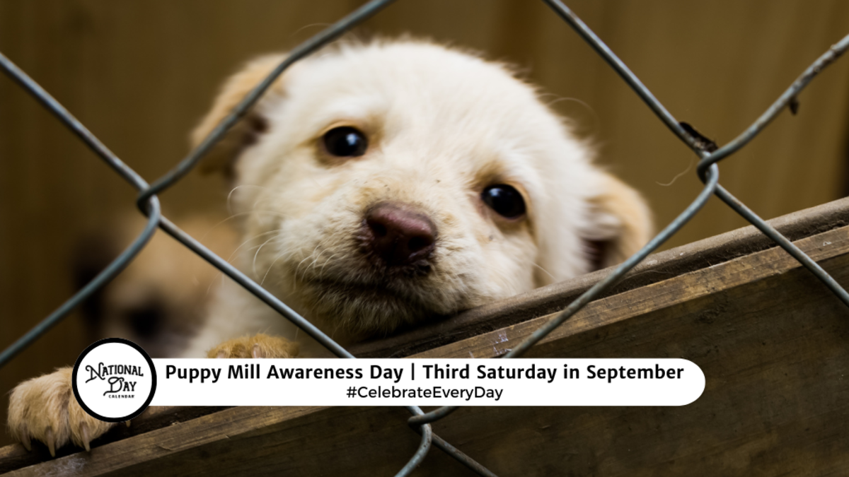 September 20, 2025, on the National Day Calendar - National Day Calendar