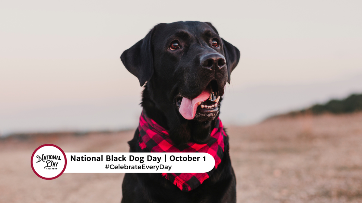 OCTOBER 1, 2025 | NATIONAL "JIFFY" MIX DAY | NATIONAL HOMEMADE COOKIES ...