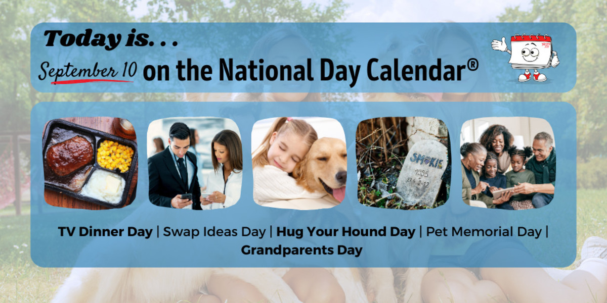 Calendar 2024 Vector, 2024, Calendar, Day PNG And Vector, 57% OFF