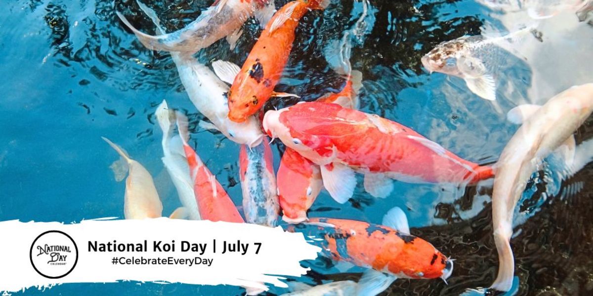 NATIONAL KOI DAY | July 7 - National Day Calendar