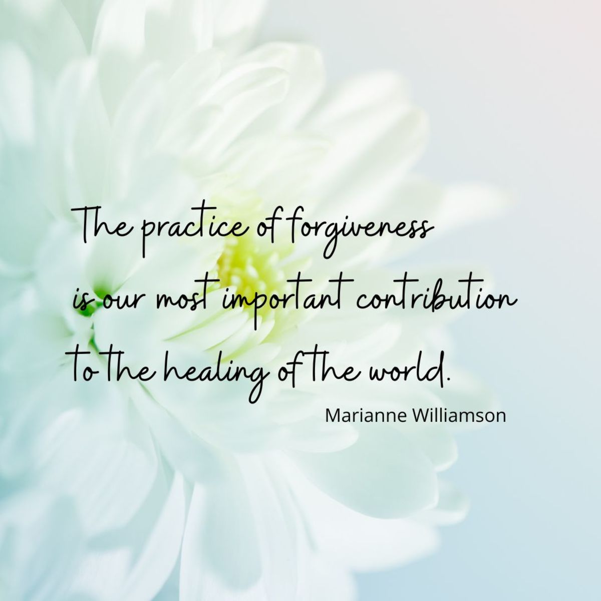 Re: The Bee Hive -- September 2025 Edition - Page 67 - Blogs & Forums