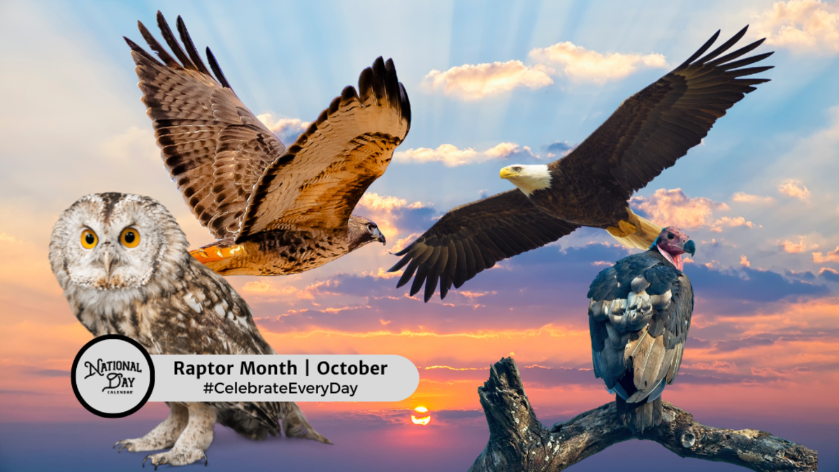 Re: October 2025 Bird's Nest - Harvest Time - Blogs & Forums