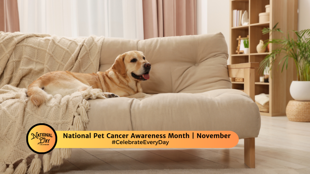 NATIONAL PET CANCER AWARENESS MONTH | November - National Day Calendar