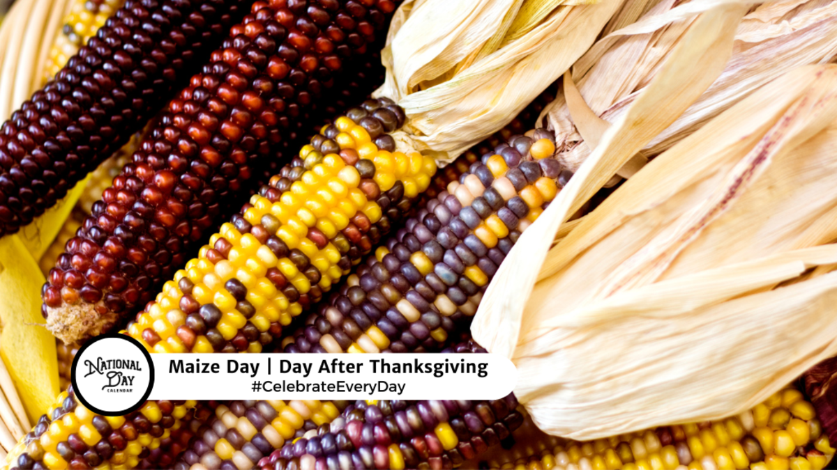 MAIZE DAY - Day After Thanksgiving - National Day Calendar