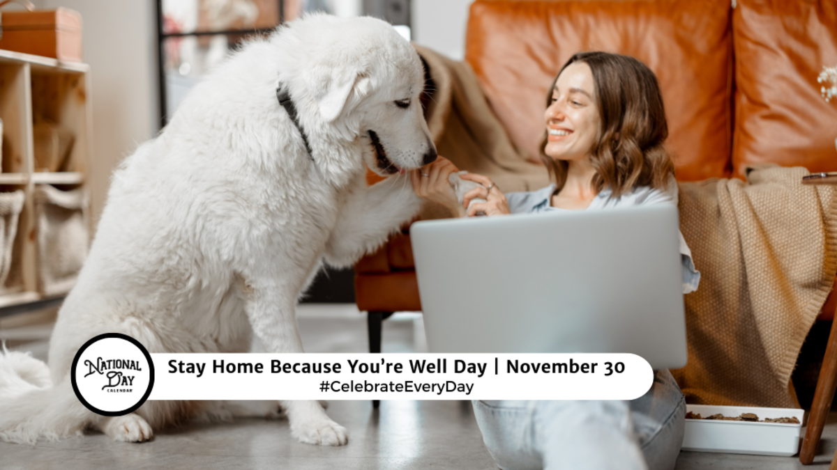 NOVEMBER 30, 2023 | STAY HOME BECAUSE YOU'RE WELL DAY | NATIONAL MASON JAR DAY | NATIONAL ...