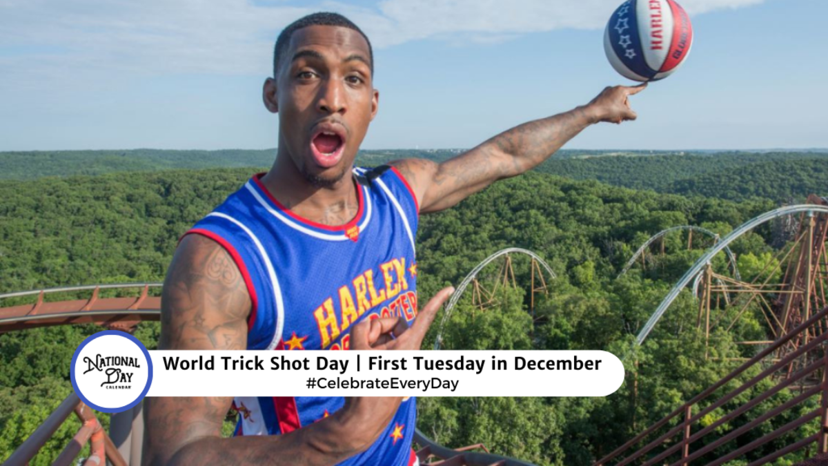 DECEMBER 3, 2024 | NATIONAL DAY OF GIVING | WORLD TRICK SHOT DAY | ROOF ...