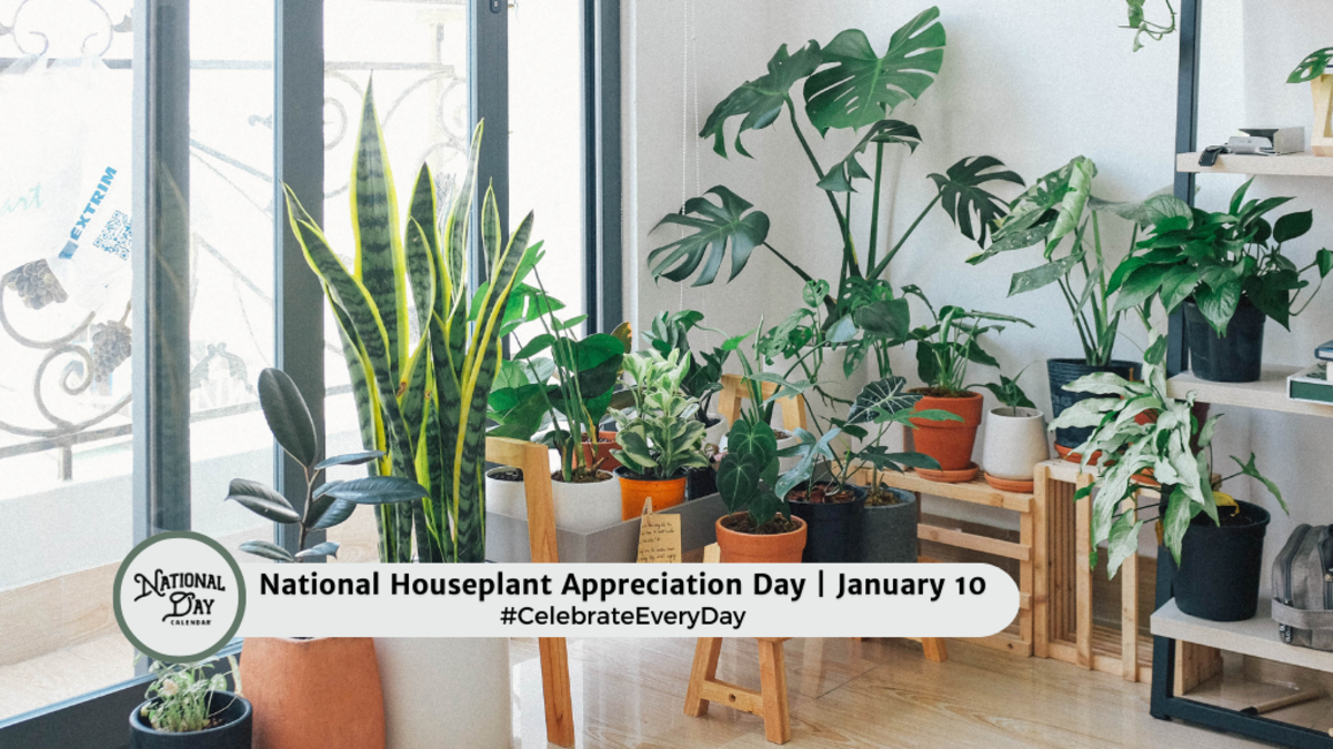 NATIONAL HOUSEPLANT APPRECIATION DAY - January 10 - National Day Calendar