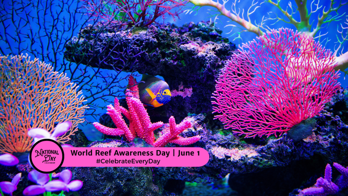 WORLD REEF AWARENESS DAY | June 1 - National Day Calendar