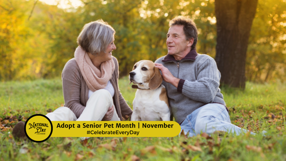 ADOPT A SENIOR PET MONTH | November - National Day Calendar