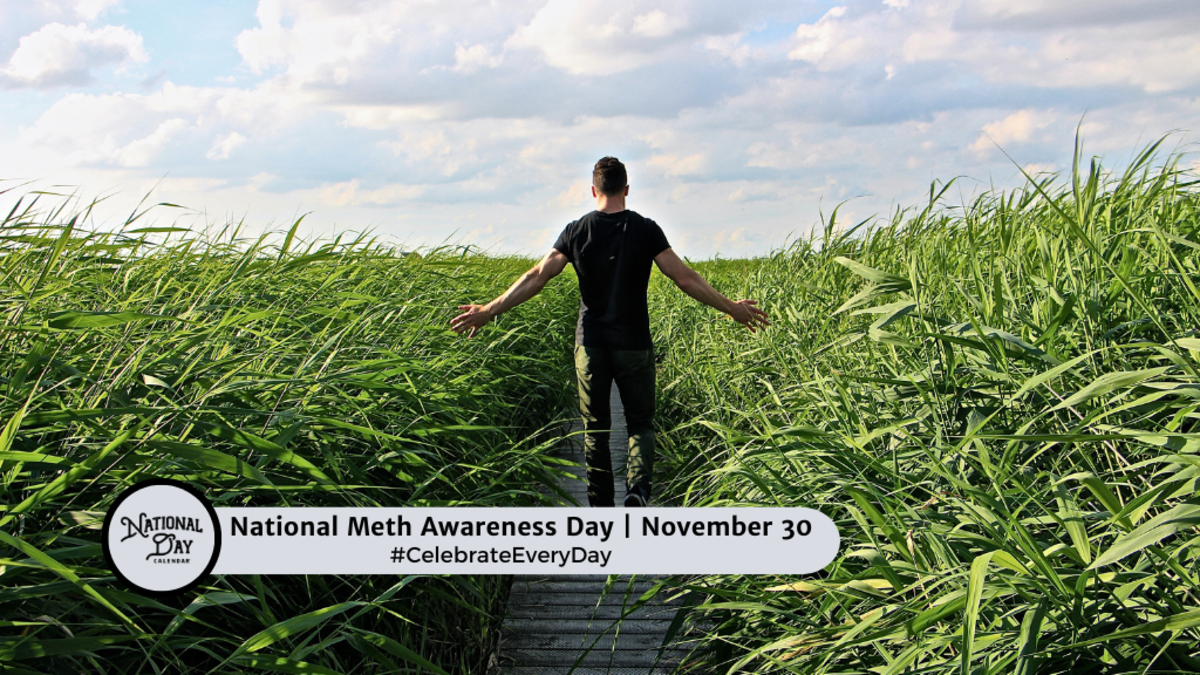 NATIONAL METH AWARENESS DAY - November 30 - National Day Calendar