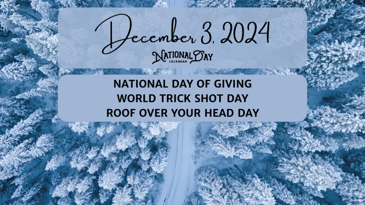 DECEMBER 3, 2024 | NATIONAL DAY OF GIVING | WORLD TRICK SHOT DAY | ROOF ...