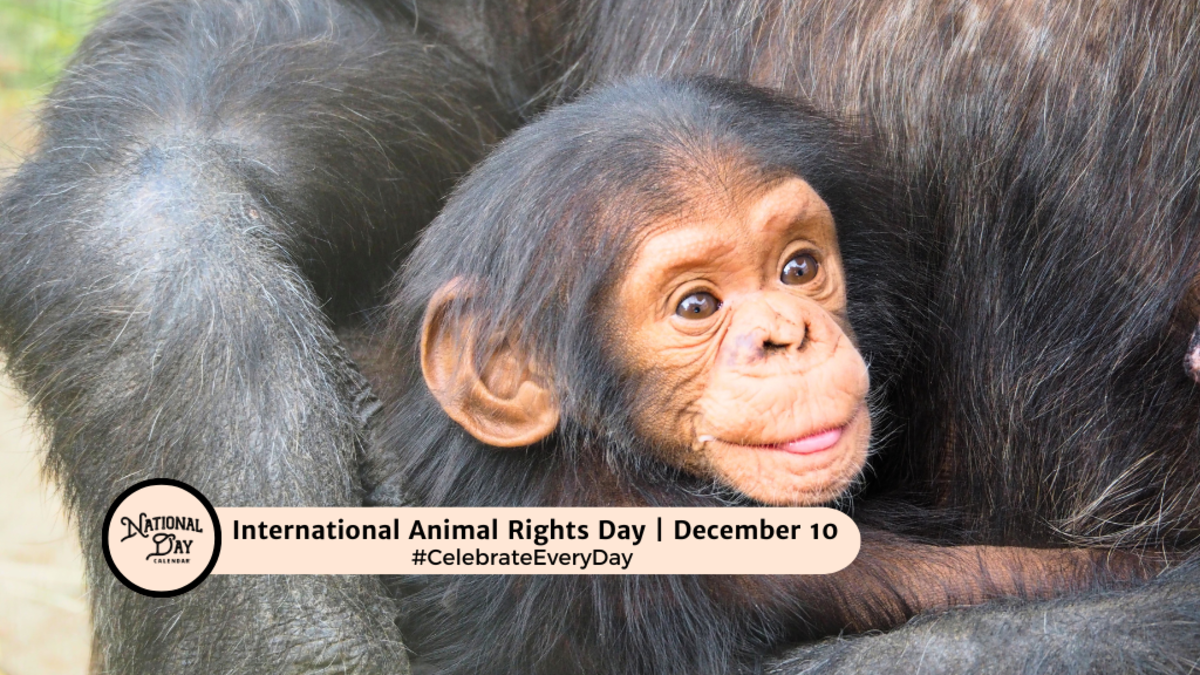 INTERNATIONAL ANIMAL RIGHTS DAY | December 10 - National Day Calendar
