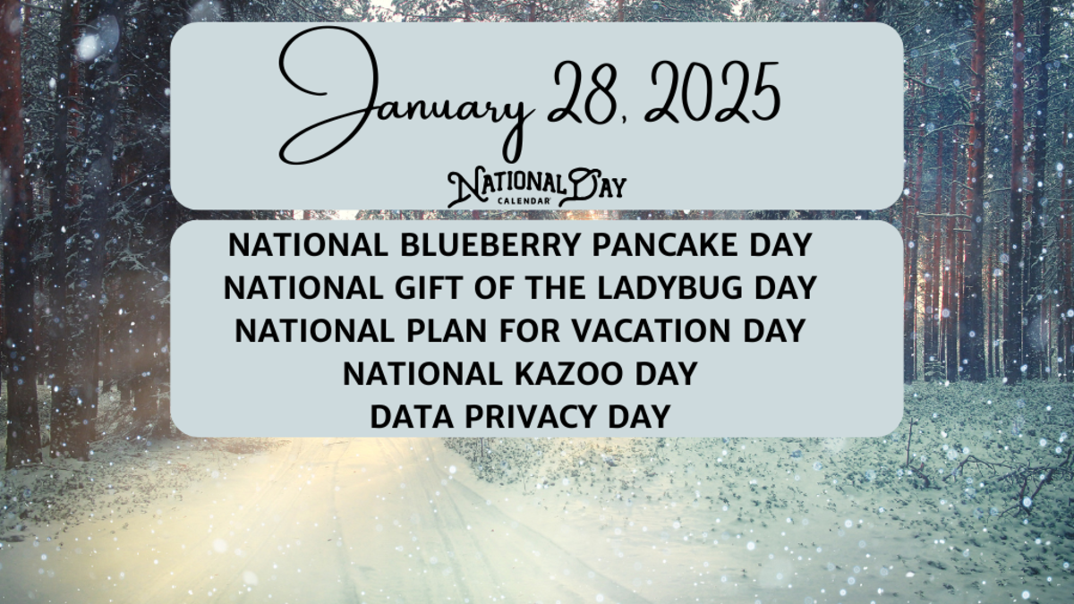 JANUARY 28, 2025 | NATIONAL BLUEBERRY PANCAKE DAY | NATIONAL GIFT OF ...