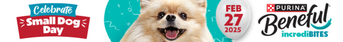 NATIONAL SMALL DOG DAY | Last Thursday in February - National Day Calendar